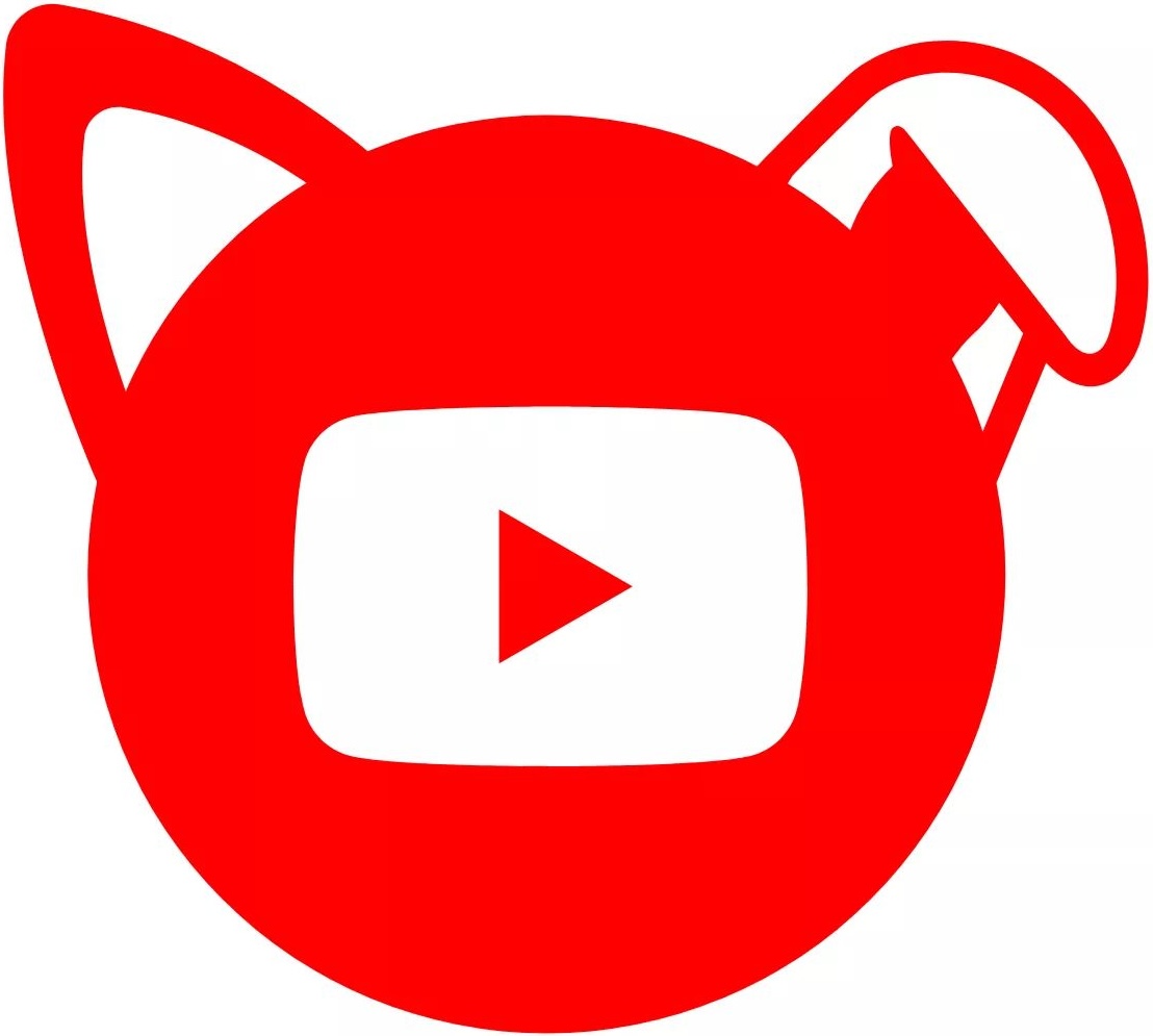 Les différents types de vers chez le chat | My Pet
